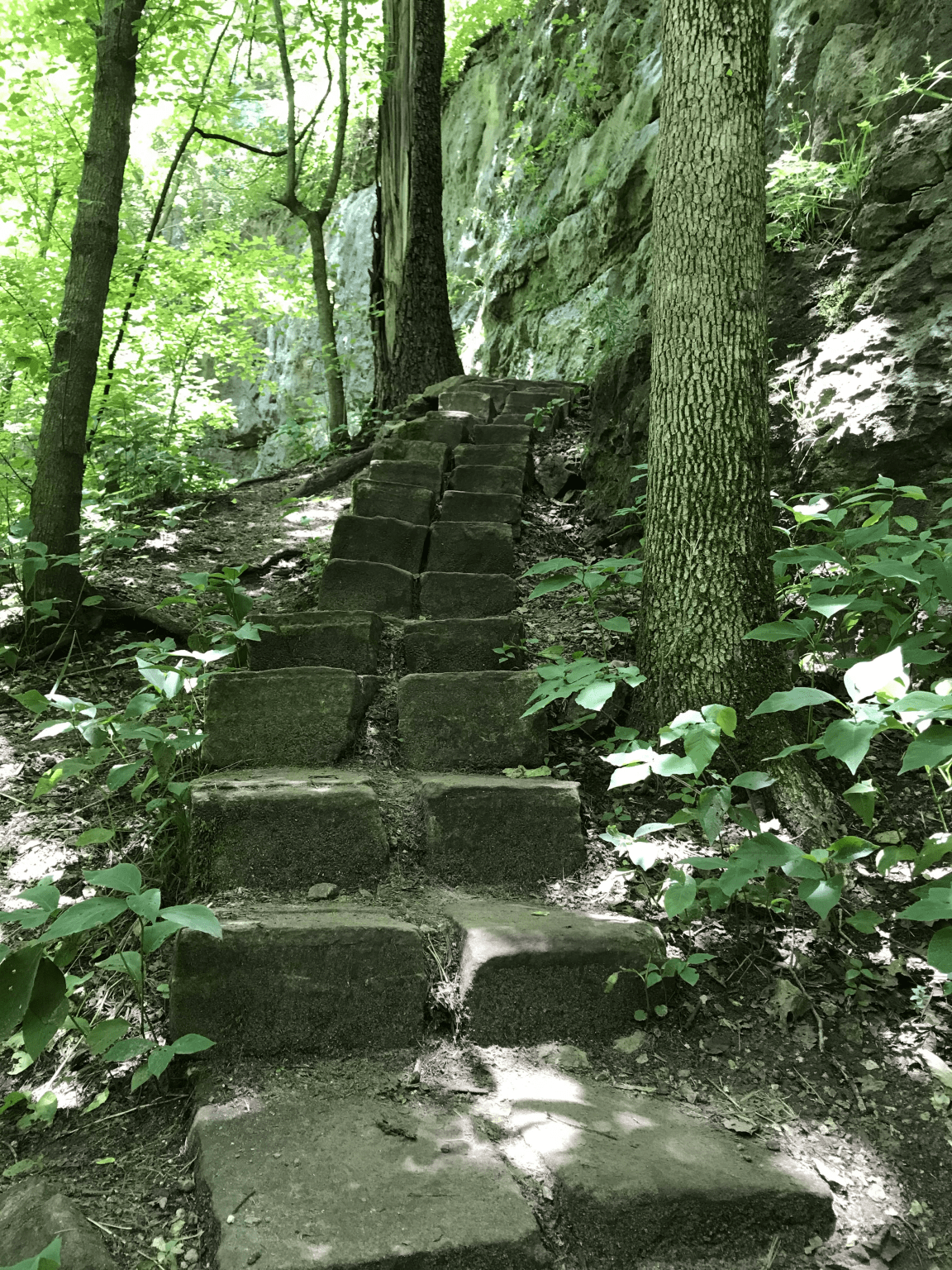 Developmental Trauma - Counseling & Recovery Partners